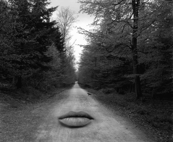 Embracing Limitations in Fine Art Photography - BWVISION - Art and ...